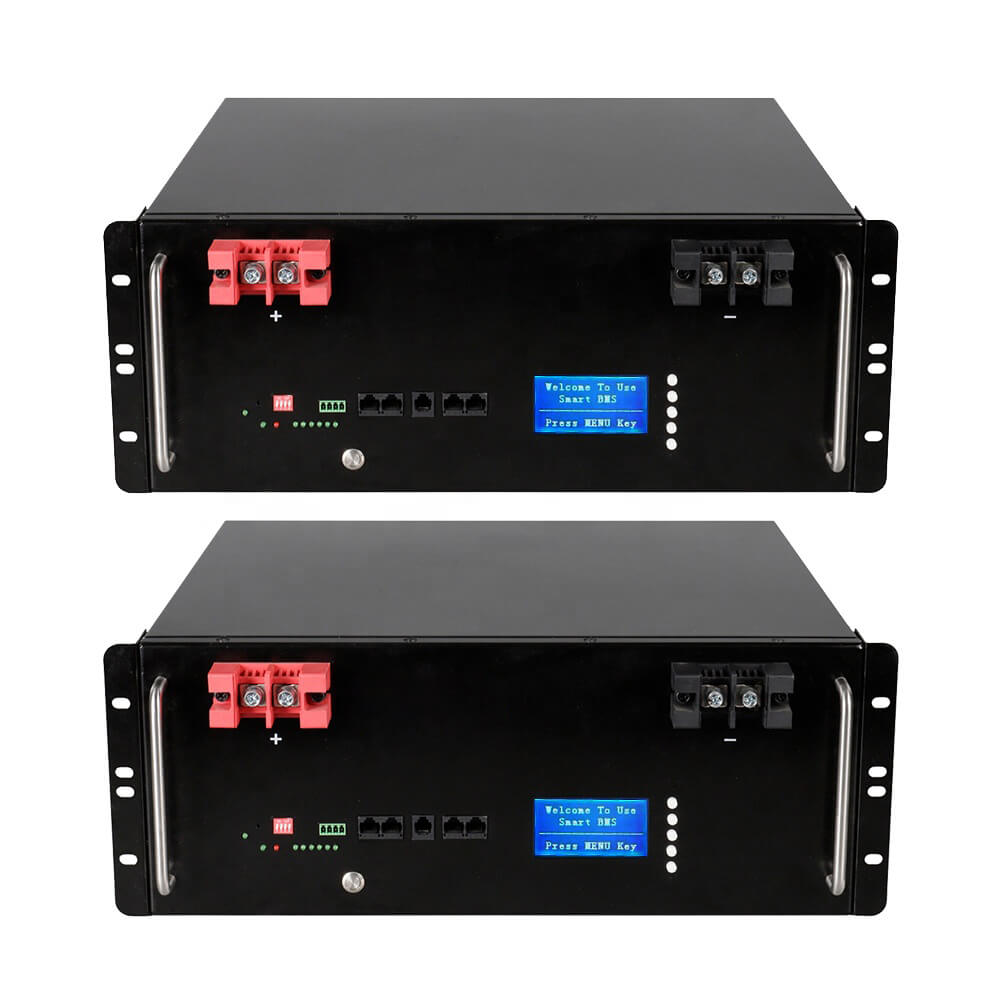 LifePO4 Battery 48V 100Ah lithium battery solar storage 48v Rechargeable Battery Pack ...